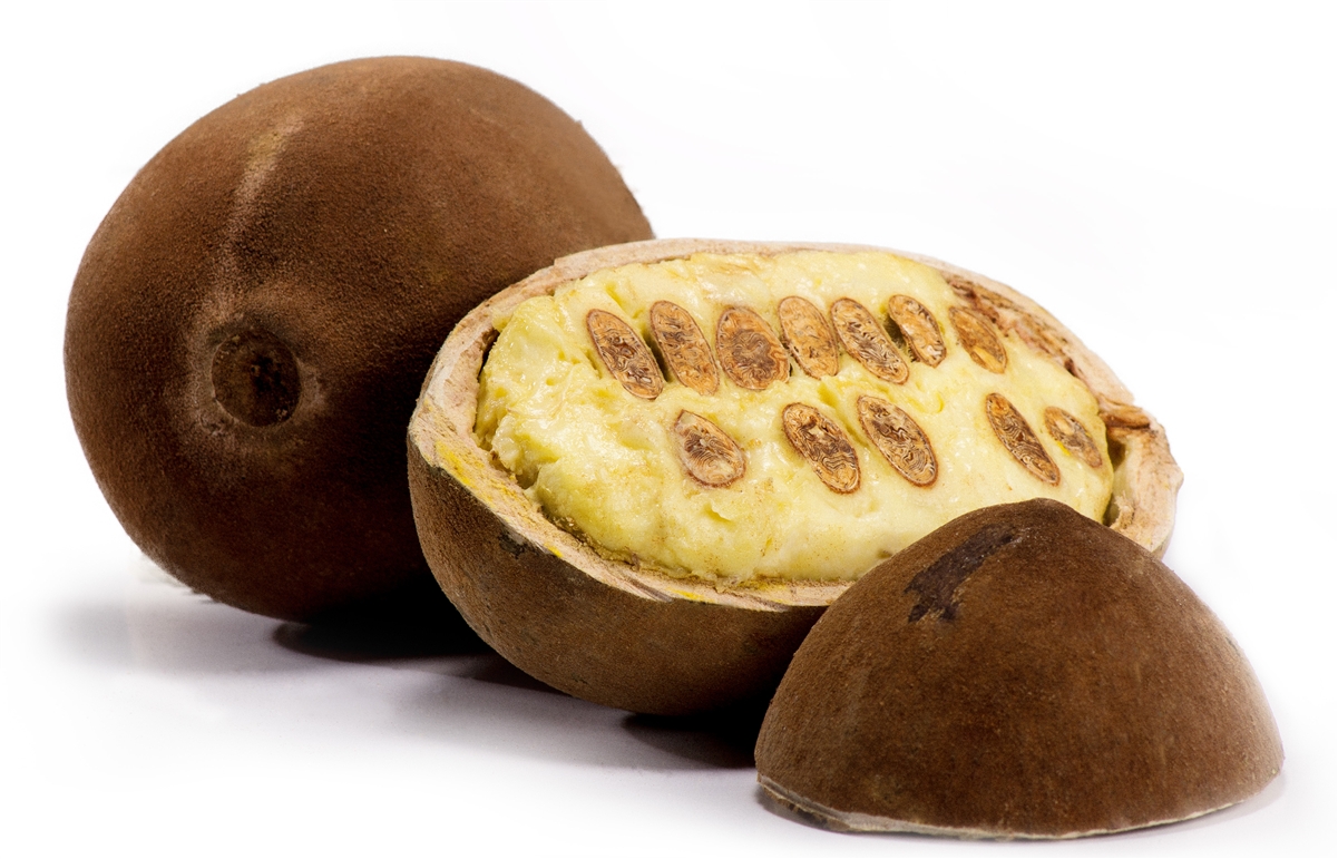 Copoazú - FRUTOS AMAZONICOS