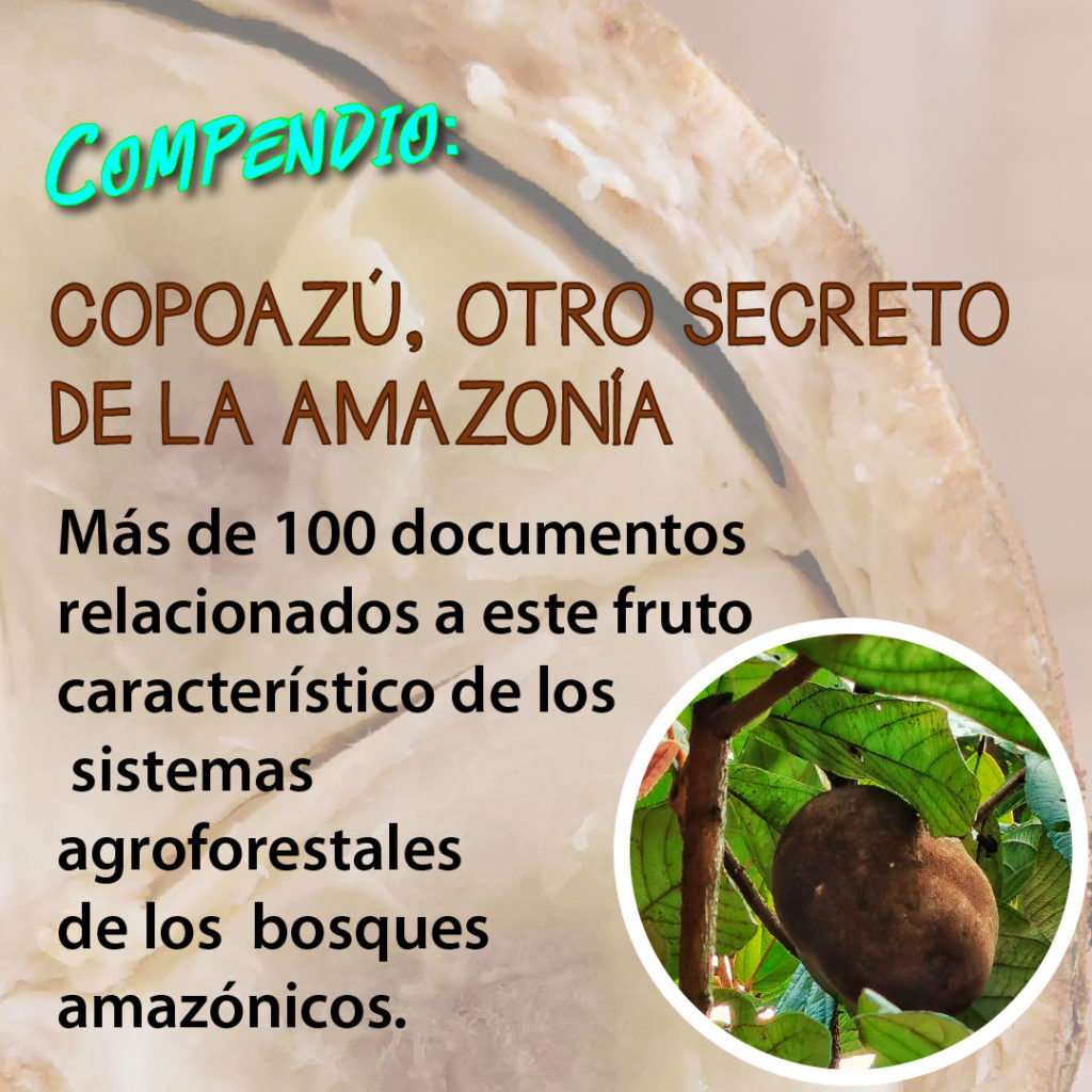 Copoazú - FRUTOS AMAZONICOS