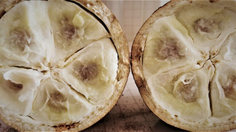 Información de mercado - FRUTOS AMAZONICOS